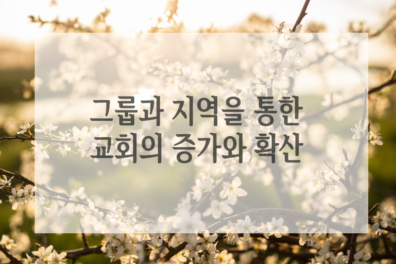 성경진리사역원(BTMK) | 19과 그룹과 지역을 통한 교회의 증가와 확산